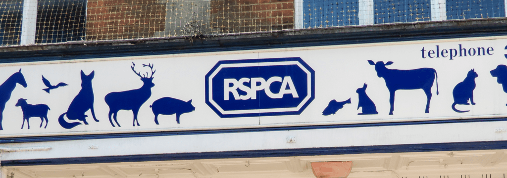 How the RSPCA has taken new steps to embed compassion in its culture - HRD